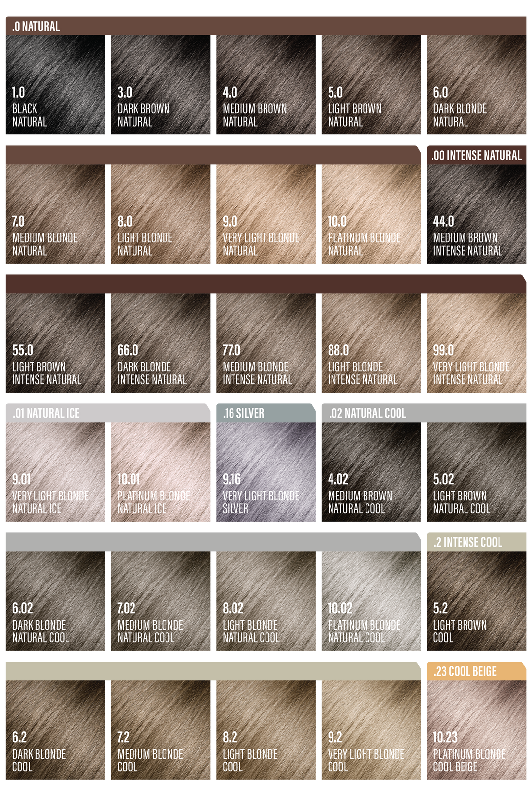 Gray Hair Color Chart Touch Of Gray Hair Color | Just For Men